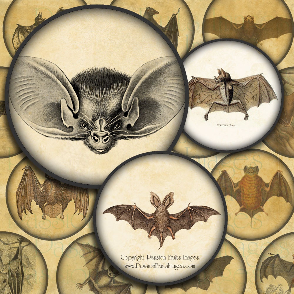 Antique Bat Images Digital Collage Sheet- 2" Circles-- Instant Download ...