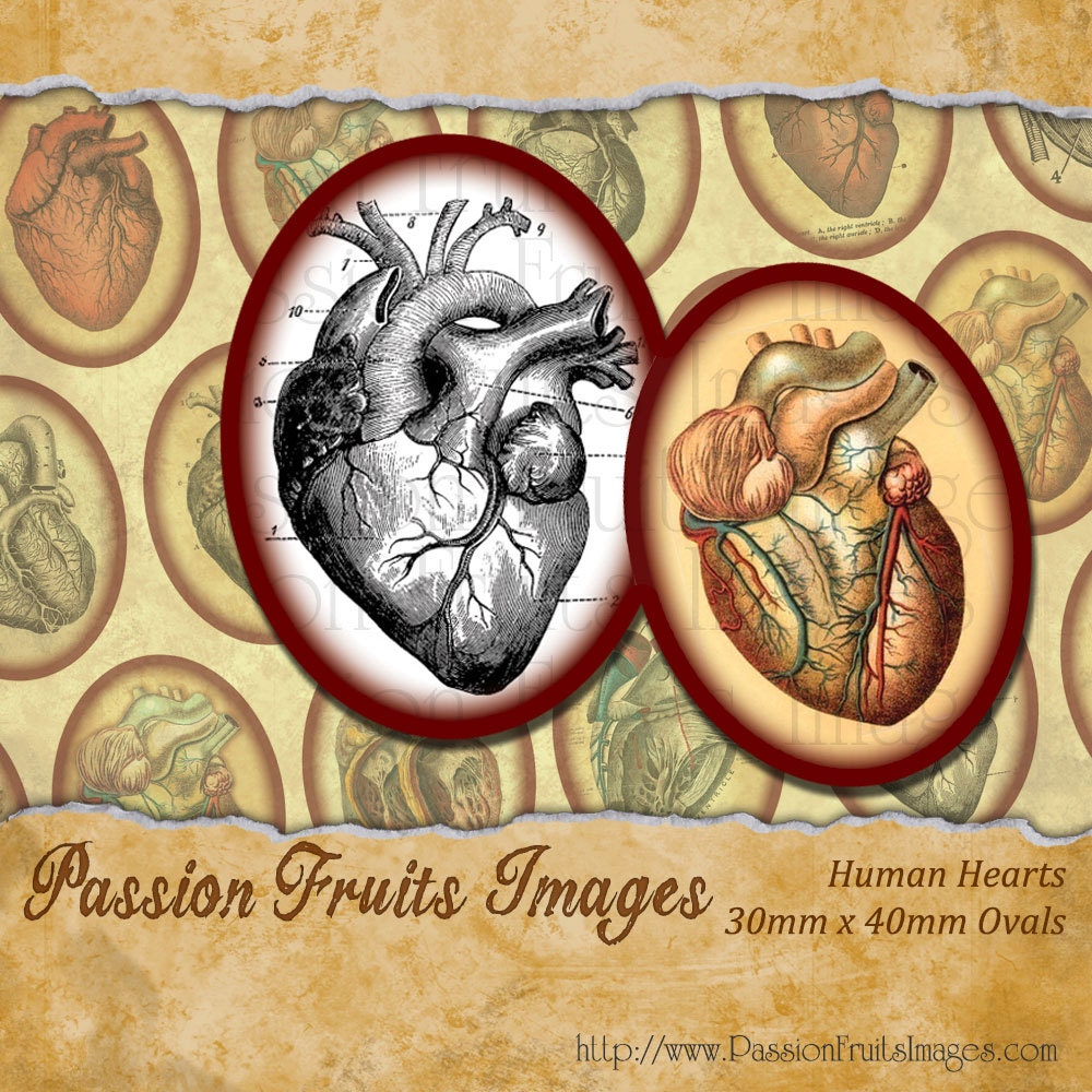 Human Hearts Anatomical Collage Sheet Gothic Valentine Digital Collage ...