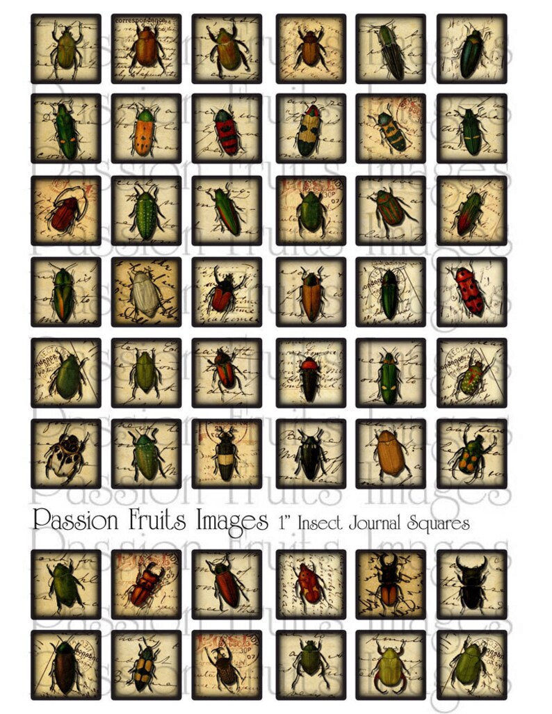 Victorian Insects on Antique Diary Pages Inchies -digital Collage Sheet ...