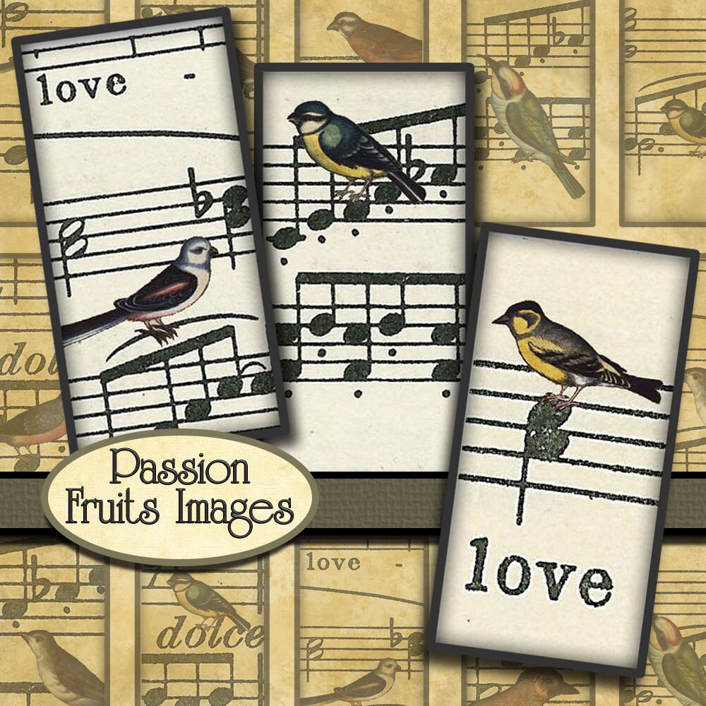 Antique Bird Images on Sheet Music Digital Collage Sheet- 1in X 2in ...