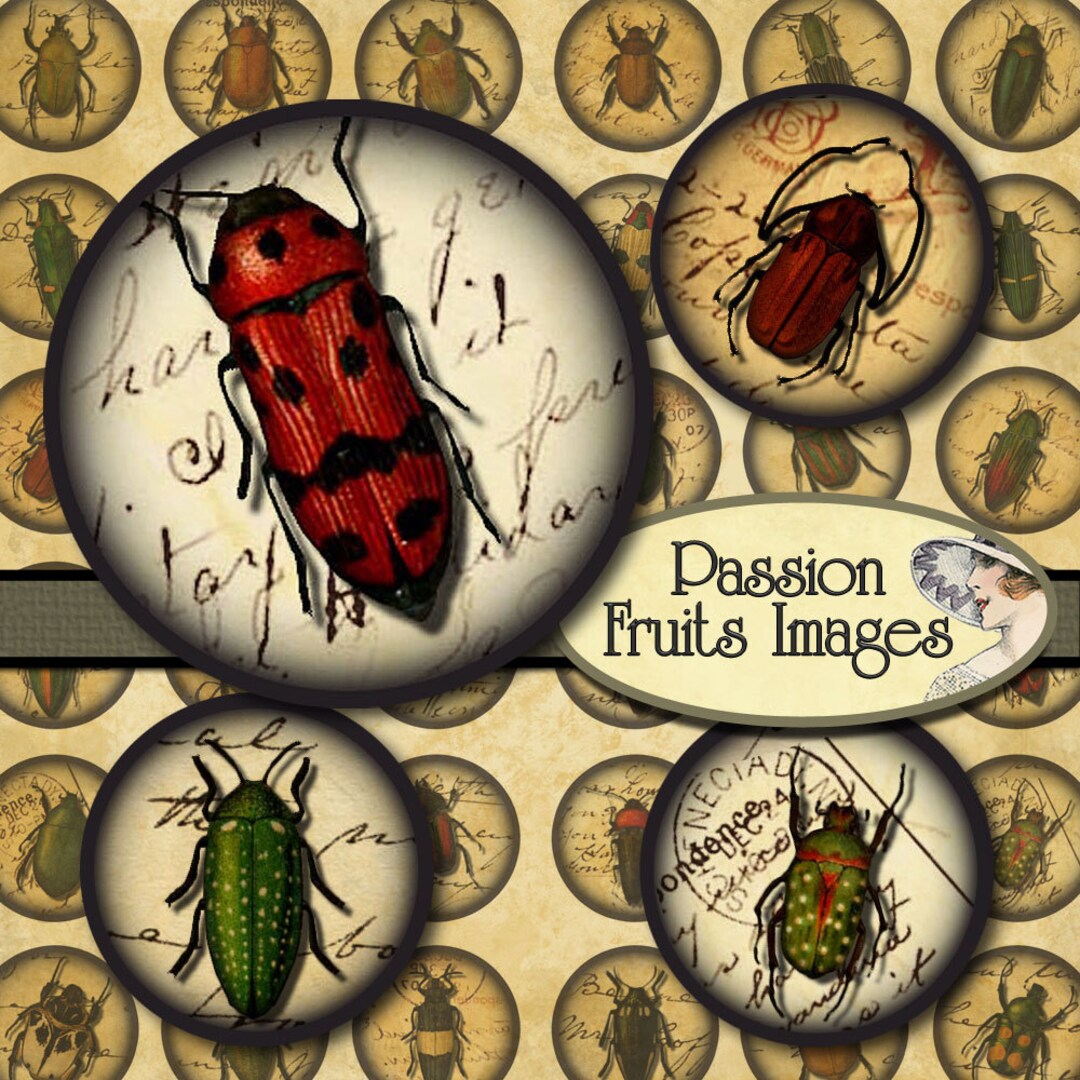 Victorian Insects on Antique Diary Pages One Inch Rounds -digital ...