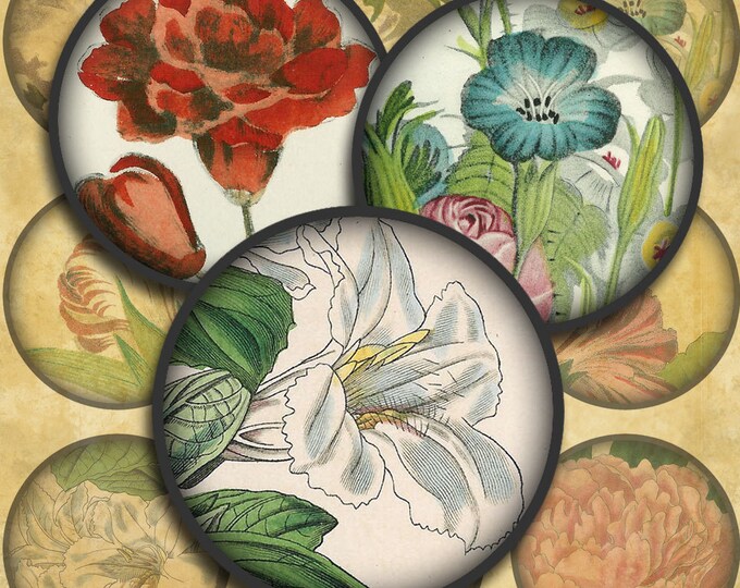 Victorian Floral Digital Collage Sheet Vintage Flowers Clip Art PNG ...