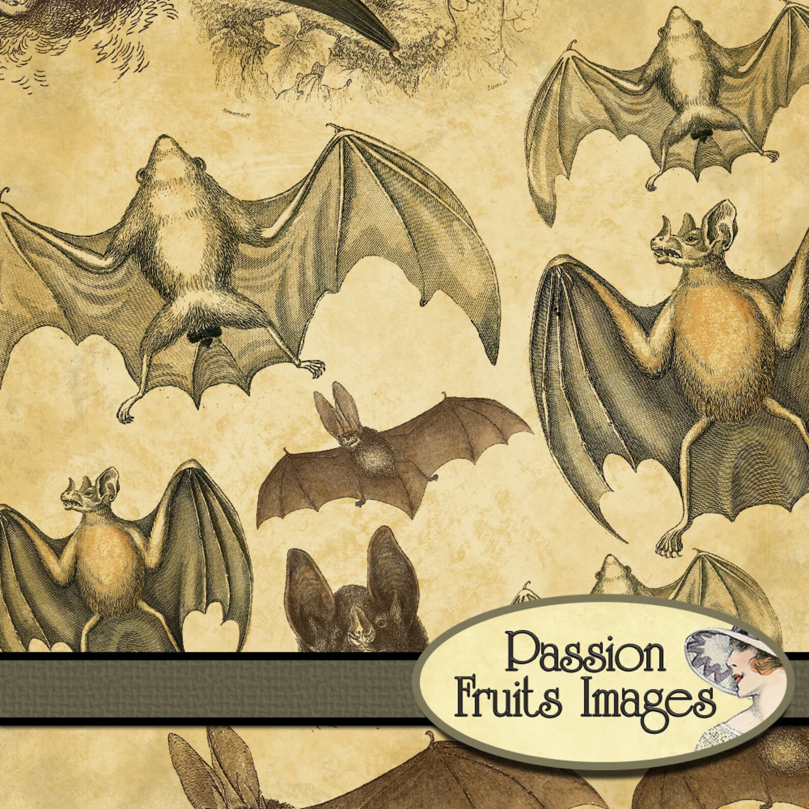 Vintage Bats Digital Collage Sheet PIF Freebie-- Instant Download - Etsy