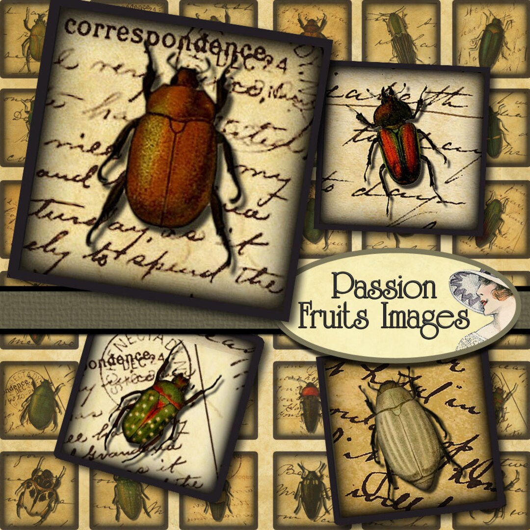 Victorian Insects on Antique Diary Pages Inchies -digital Collage Sheet ...