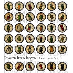 Victorian Insects on Antique Diary Pages One Inch Rounds -digital ...