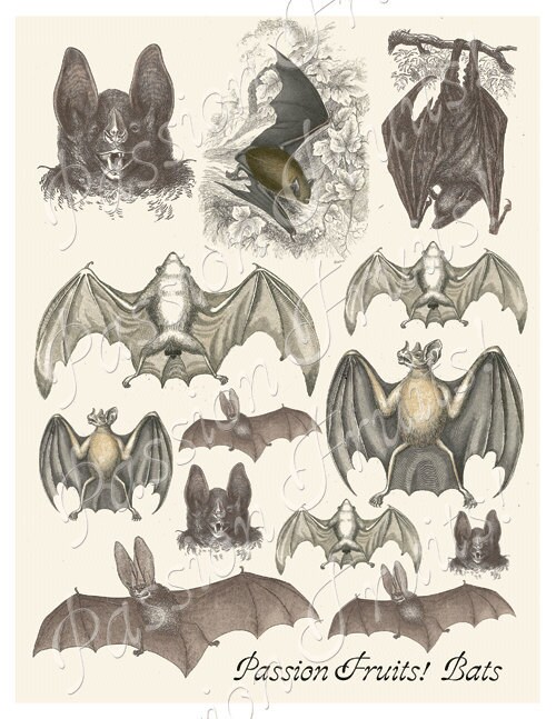 Vintage Bats Digital Collage Sheet PIF Freebie-- Instant Download - Etsy