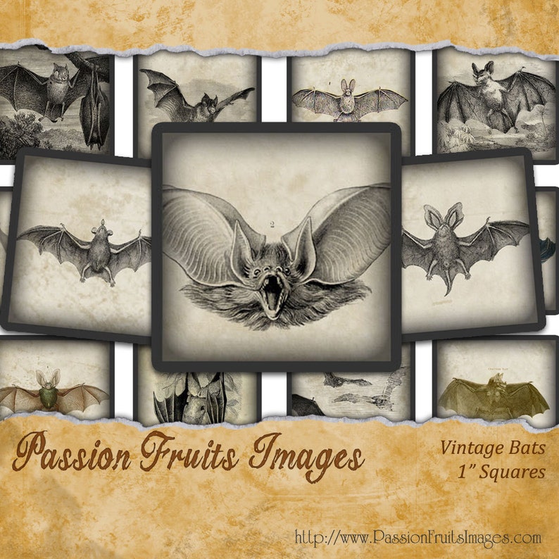 Antique Halloween Bat Images 1" Squares Inchies Digital Collage Sheet ...