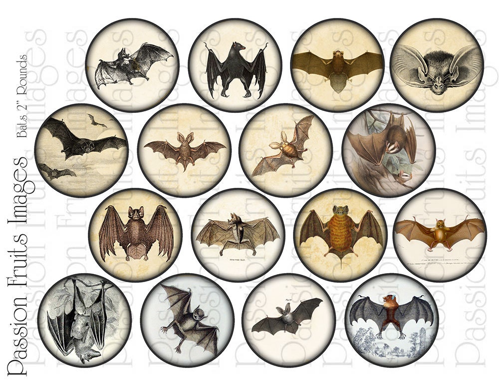 Antique Bat Images Digital Collage Sheet- 2" Circles-- Instant Download ...