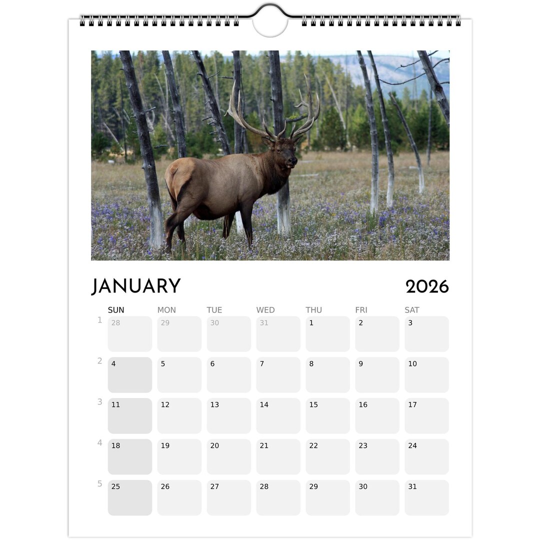 Yellowstone Wonders 2026 Wall Calendar – Discover America’s First ...