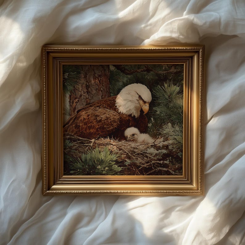 Bald Eagle & Eaglet Rustic Painting - Wildlife Art Print (digital ...