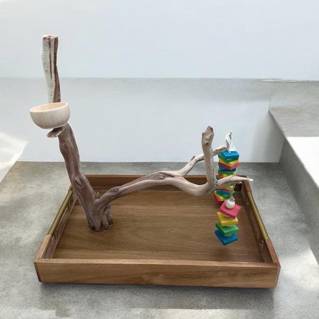 Handmade Natural Wood Bird Perch – 16”x11”x15” - Etsy