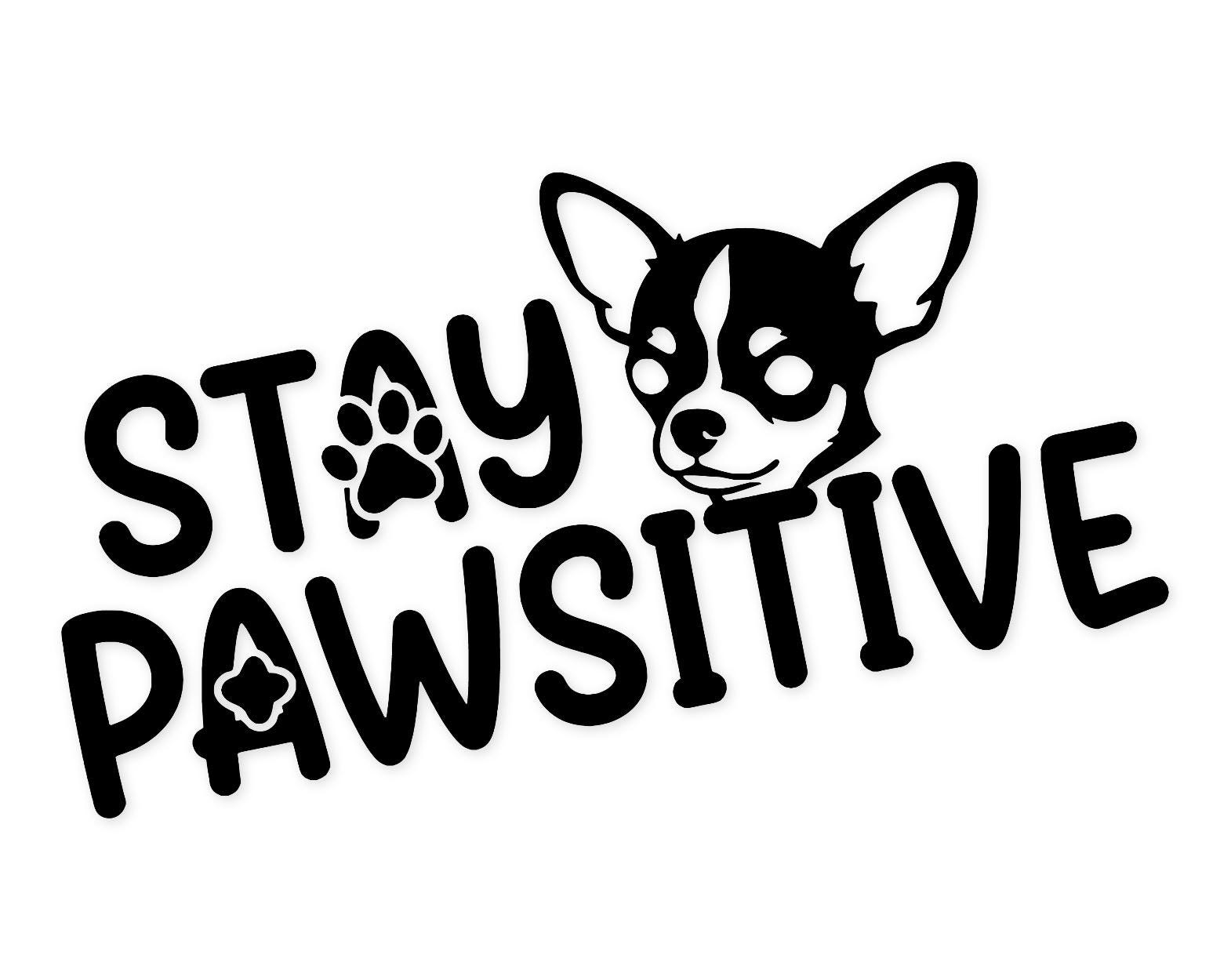 Stay Pawsitive Svg Png: Hand-drawn Design for Mugs and Wall Art - Etsy