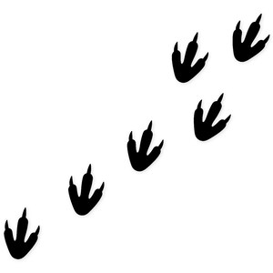 Dino Tracks Svg Png: Cut Ready Digital Design for Cricut Silhouette - Etsy