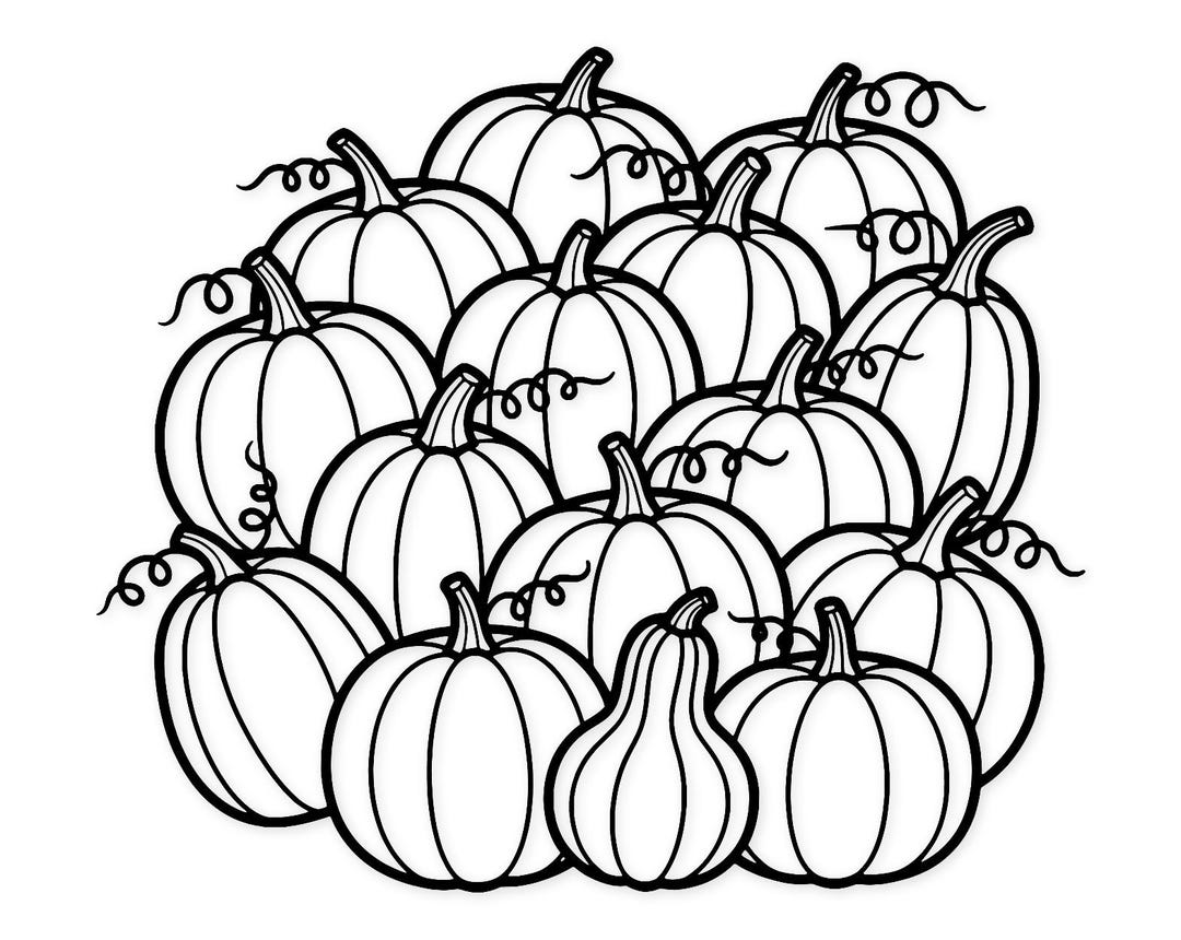 Pumpkin Patch Design Svg Png: Cut Ready Digital Design for Cricut ...