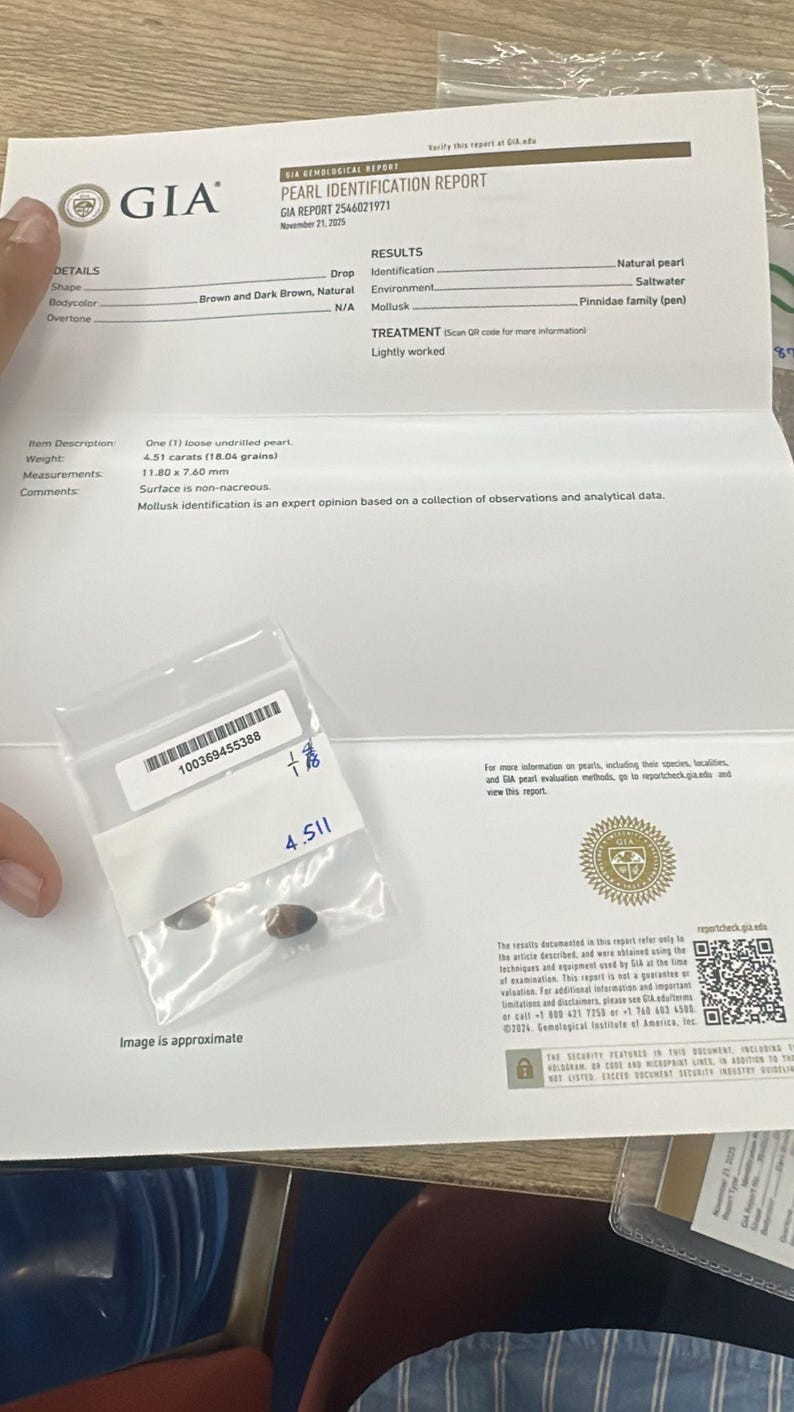 Exceedingly Rare Natural Bi-color Pearl - GIA Certified - Etsy