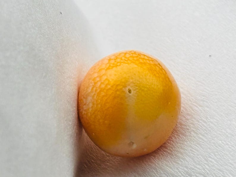 Natural Melo Melo Pearl - 7.29 Carats, Near-round, Untreated - Etsy