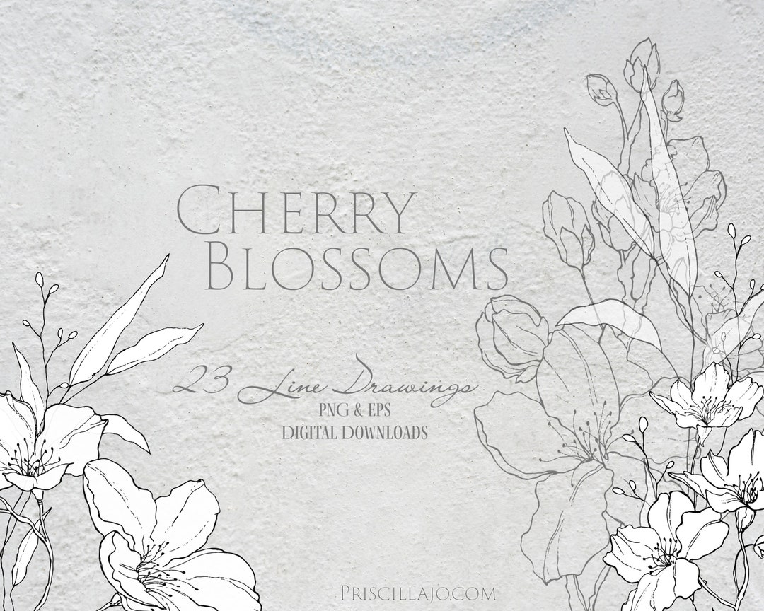 Cherry Blossom Line Drawings | Png & Eps Digital Downloads | Floral ...