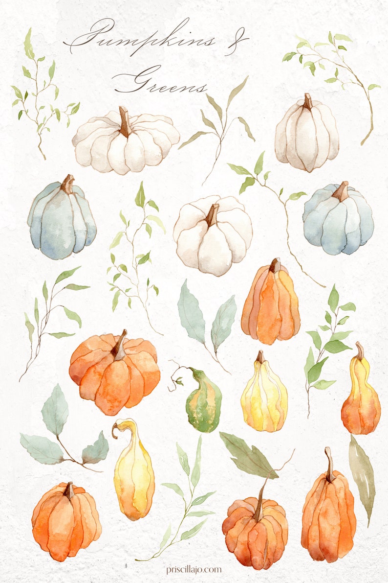 Pumpkins & Greens | Digital Download | Autumn Clip Art | Watercolor ...