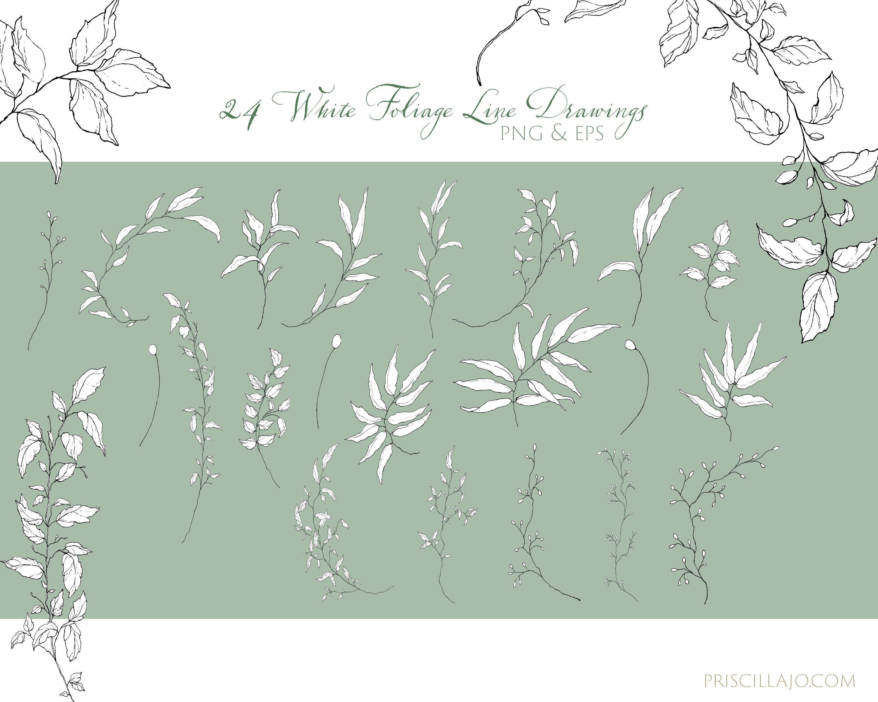 Ferns & Foliage Bundle | Floral Line Art | Digital Clip Art ...