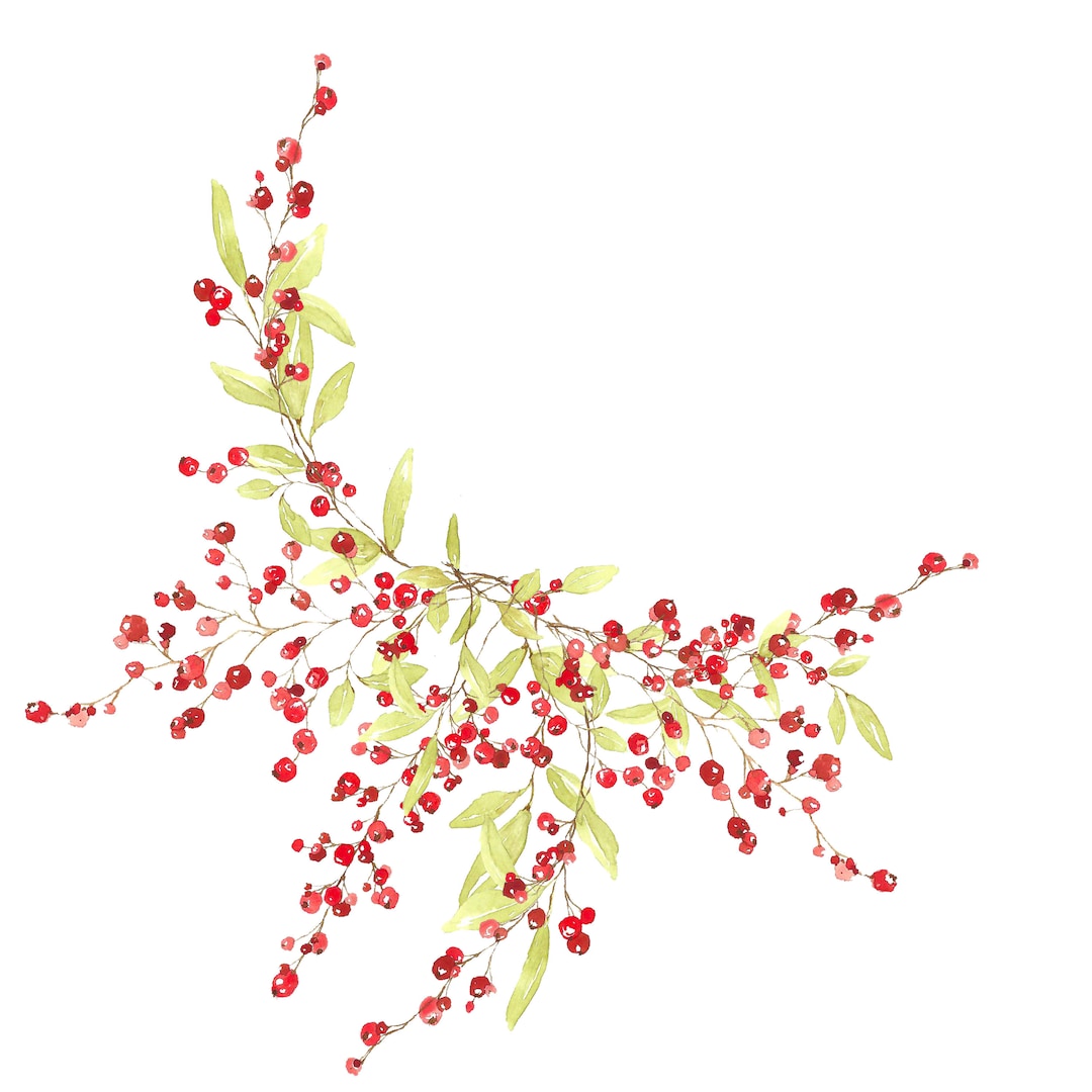 Red Berry Clipart | Watercolor Winter Berry Digital Download ...