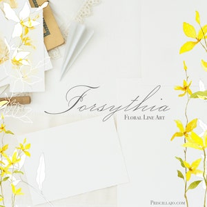 Forsythia Line Drawings | 20 Floral Digital Downloads | Watercolor and ...