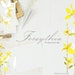 Forsythia Line Drawings | 20 Floral Digital Downloads | Watercolor and ...