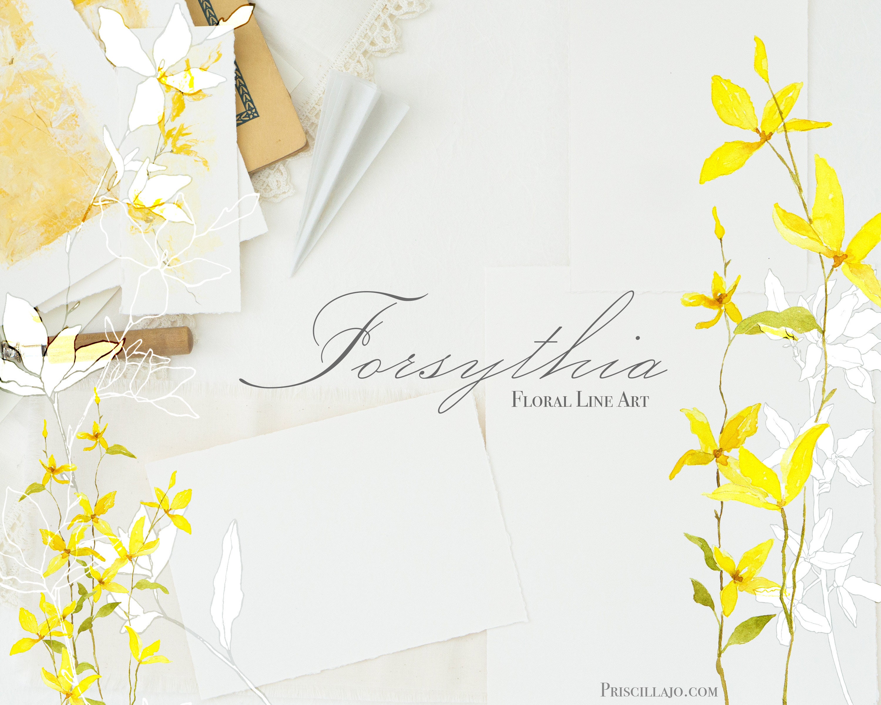 Forsythia Line Drawings | 20 Floral Digital Downloads | Watercolor and ...