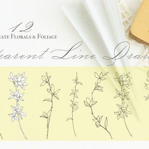 Forsythia Line Drawings | 20 Floral Digital Downloads | Watercolor and ...