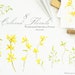 Forsythia Line Drawings | 20 Floral Digital Downloads | Watercolor and ...
