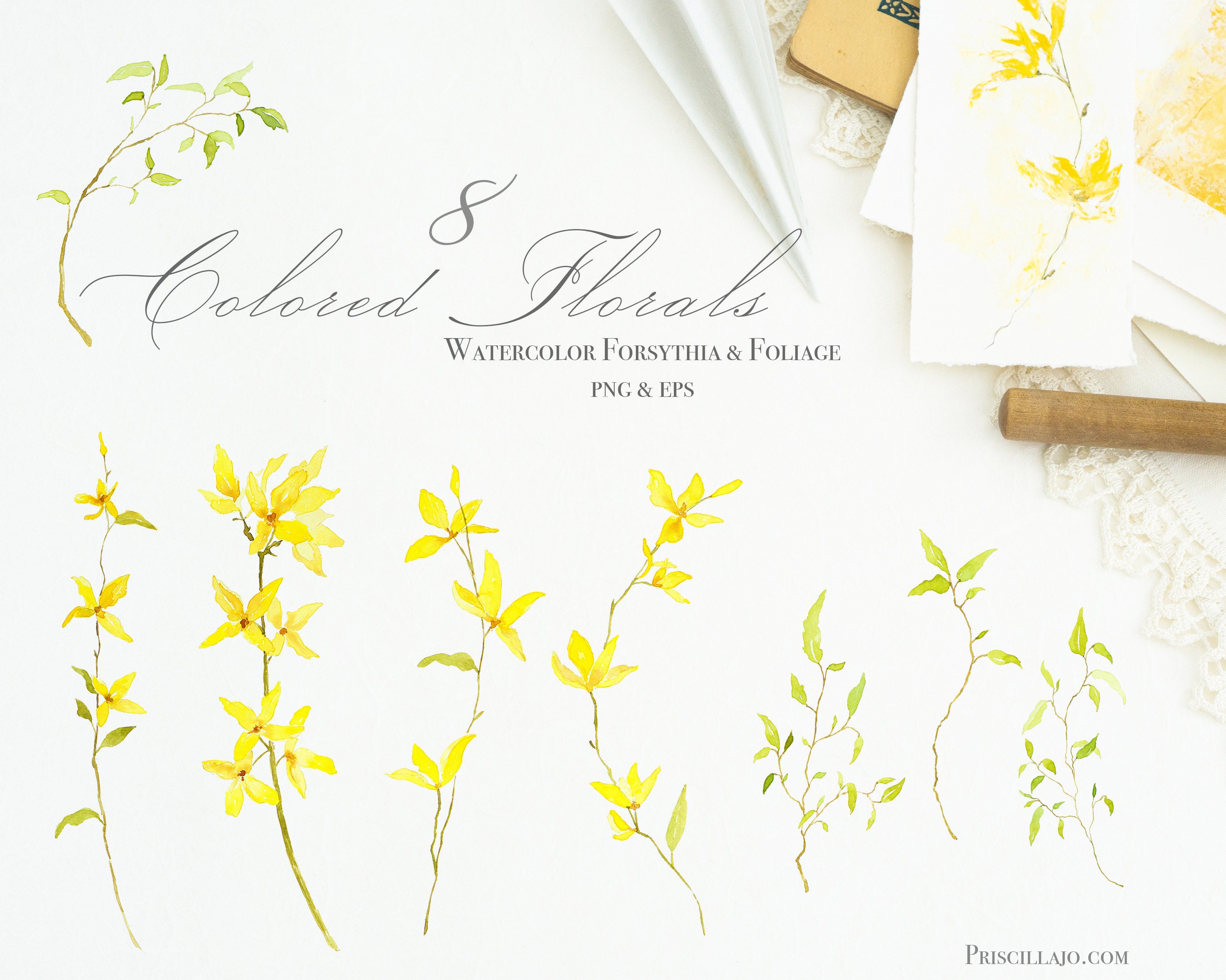 Forsythia Line Drawings | 20 Floral Digital Downloads | Watercolor and ...