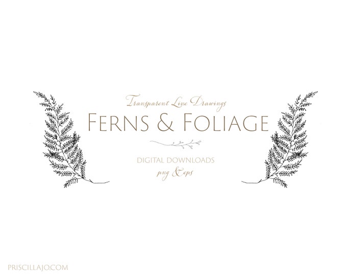 Botanical Line Drawings | Foliage Clip Art | Png & Eps Digital ...