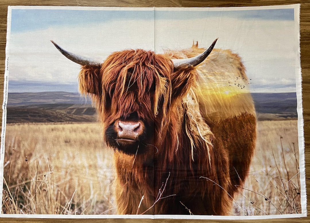 Highlander Cow Panel by HOFFMAN (call of the Wild Collection) - 43x30 ...