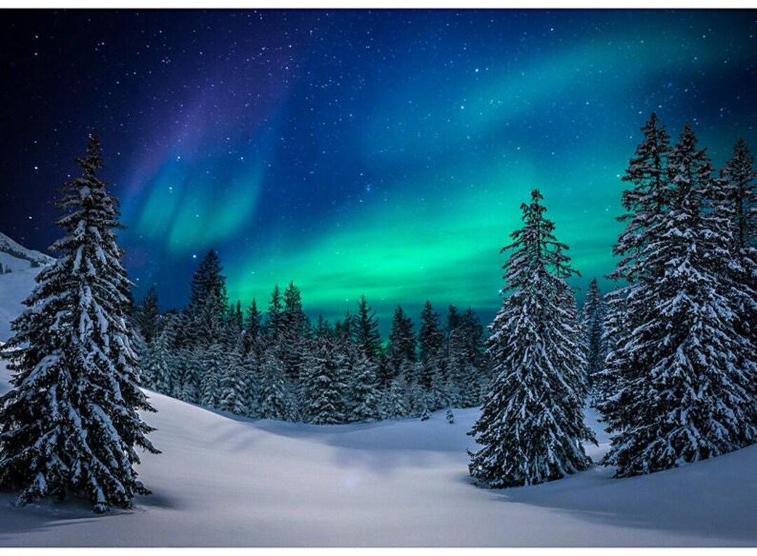 Hoffman Aurora Forest Call of the Wild Digital - Hoffman Fabrics - 31. ...