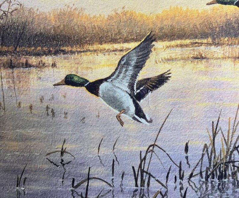Dawn Duck Flying Panel P8726 From Riley Blake Designs' Fish and Foul ...
