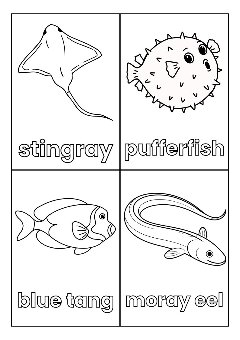 Marine Life Coloring Pages for Kids, 32 Sea Animals Cards PDF, 8 ...
