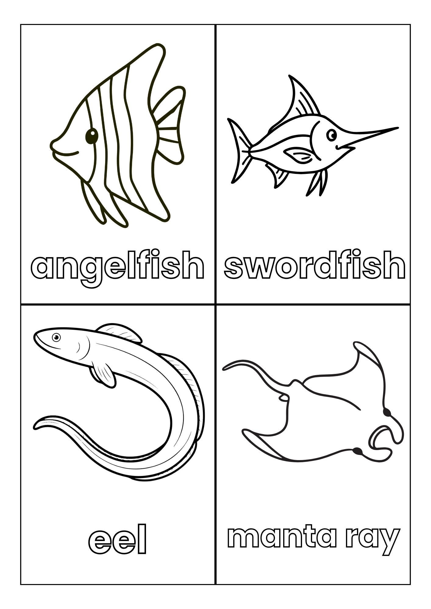 Marine Life Coloring Pages for Kids, 32 Sea Animals Cards PDF, 8 ...