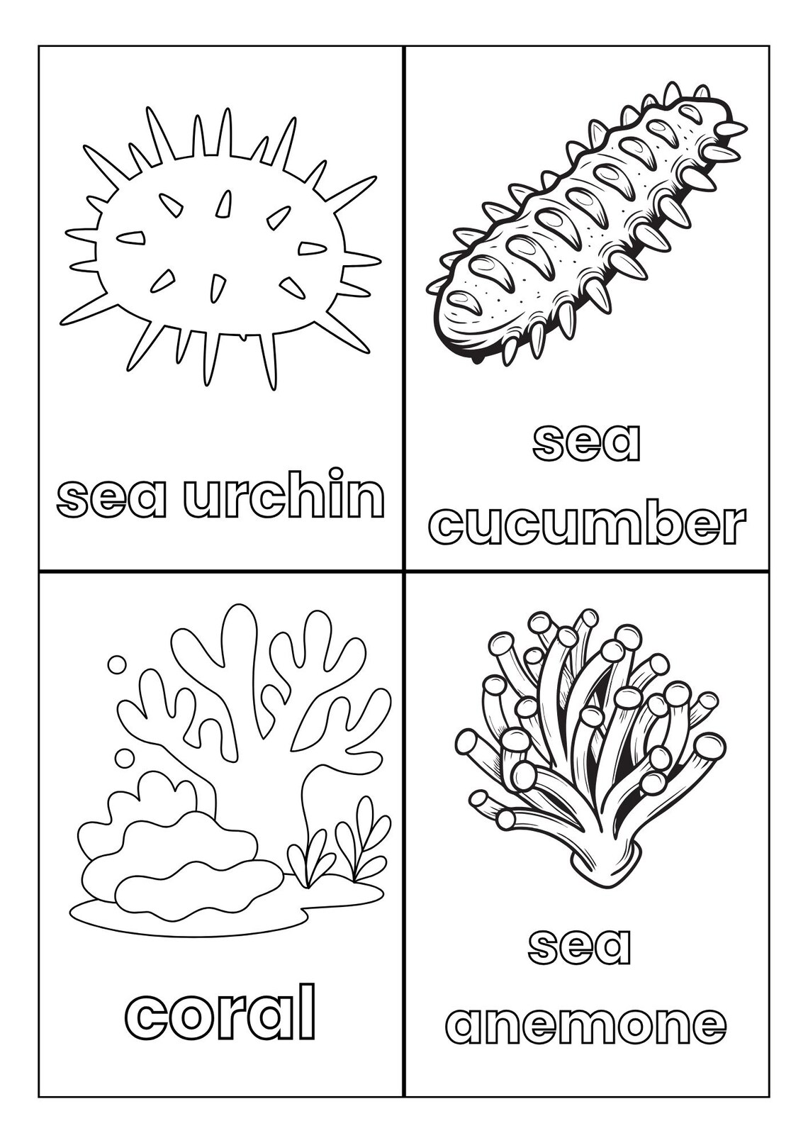 Marine Life Coloring Pages for Kids, 32 Sea Animals Cards PDF, 8 ...