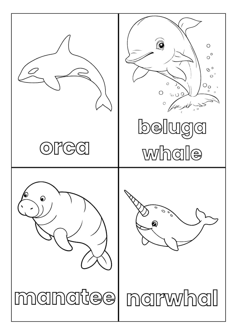 Marine Life Coloring Pages for Kids, 32 Sea Animals Cards PDF, 8 ...