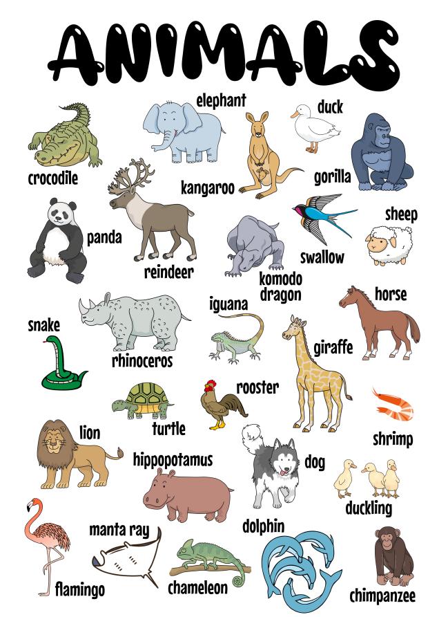 Animal Poster for Kids - Etsy