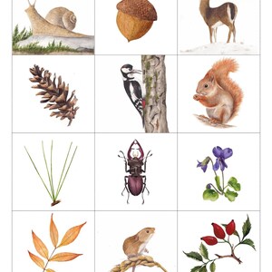 Woodland Memory/matching Game for Kids – Illustrated Memory Cards With ...