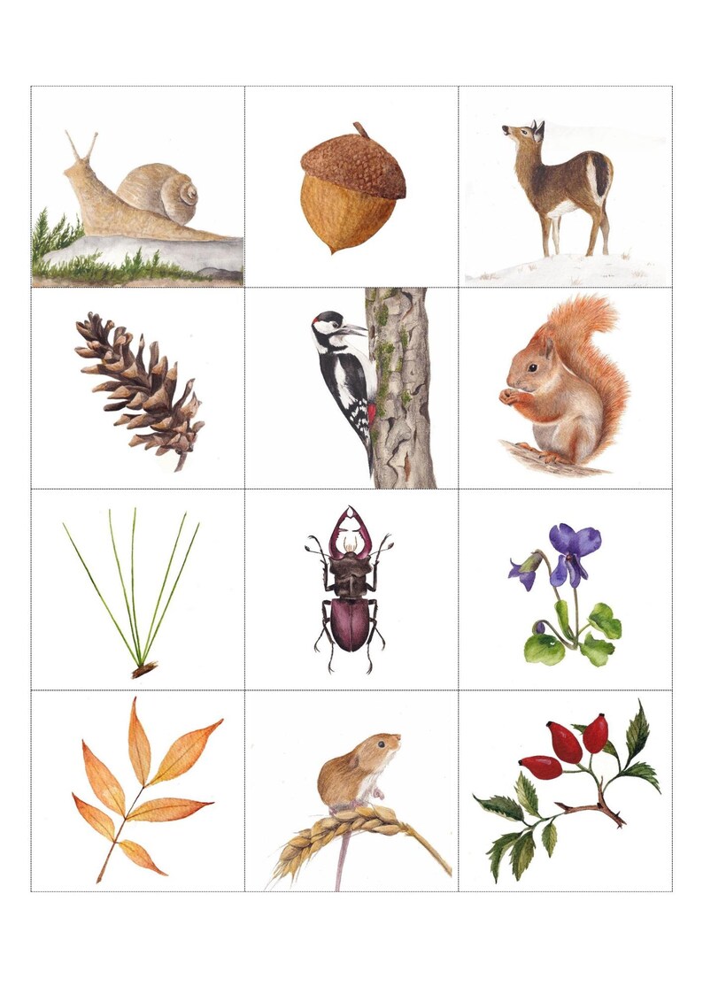 Woodland Memory/matching Game for Kids – Illustrated Memory Cards With ...