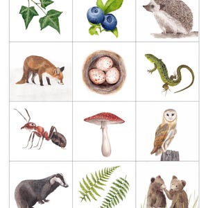Woodland Memory/matching Game for Kids – Illustrated Memory Cards With ...