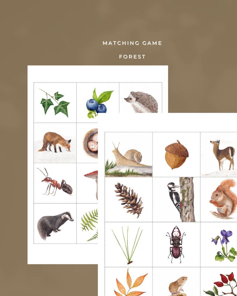 Woodland Memory/matching Game for Kids – Illustrated Memory Cards With ...