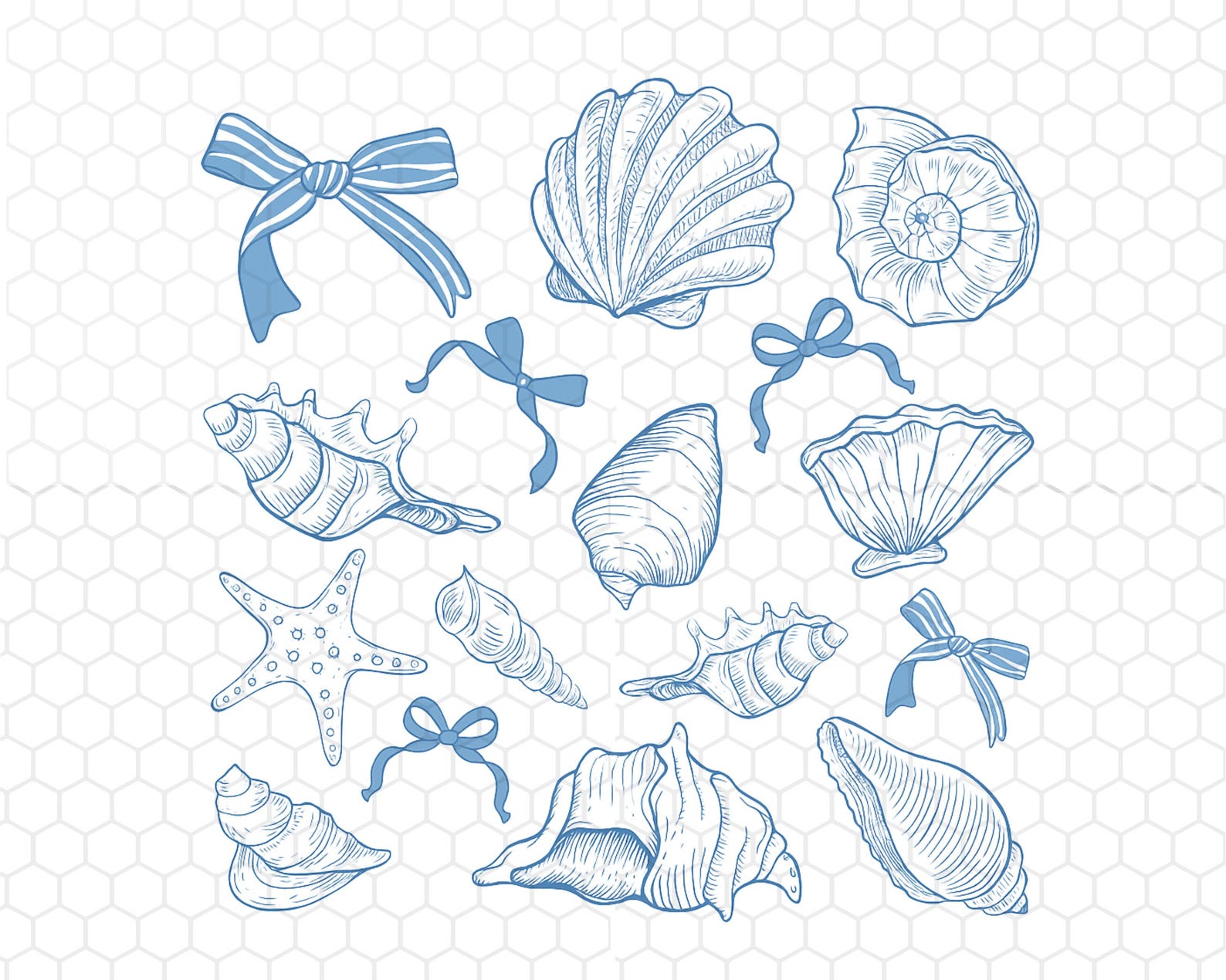 Coquette Seashell PNG, Beach Png, Coastal Png, Retro Summer Png, Summer ...