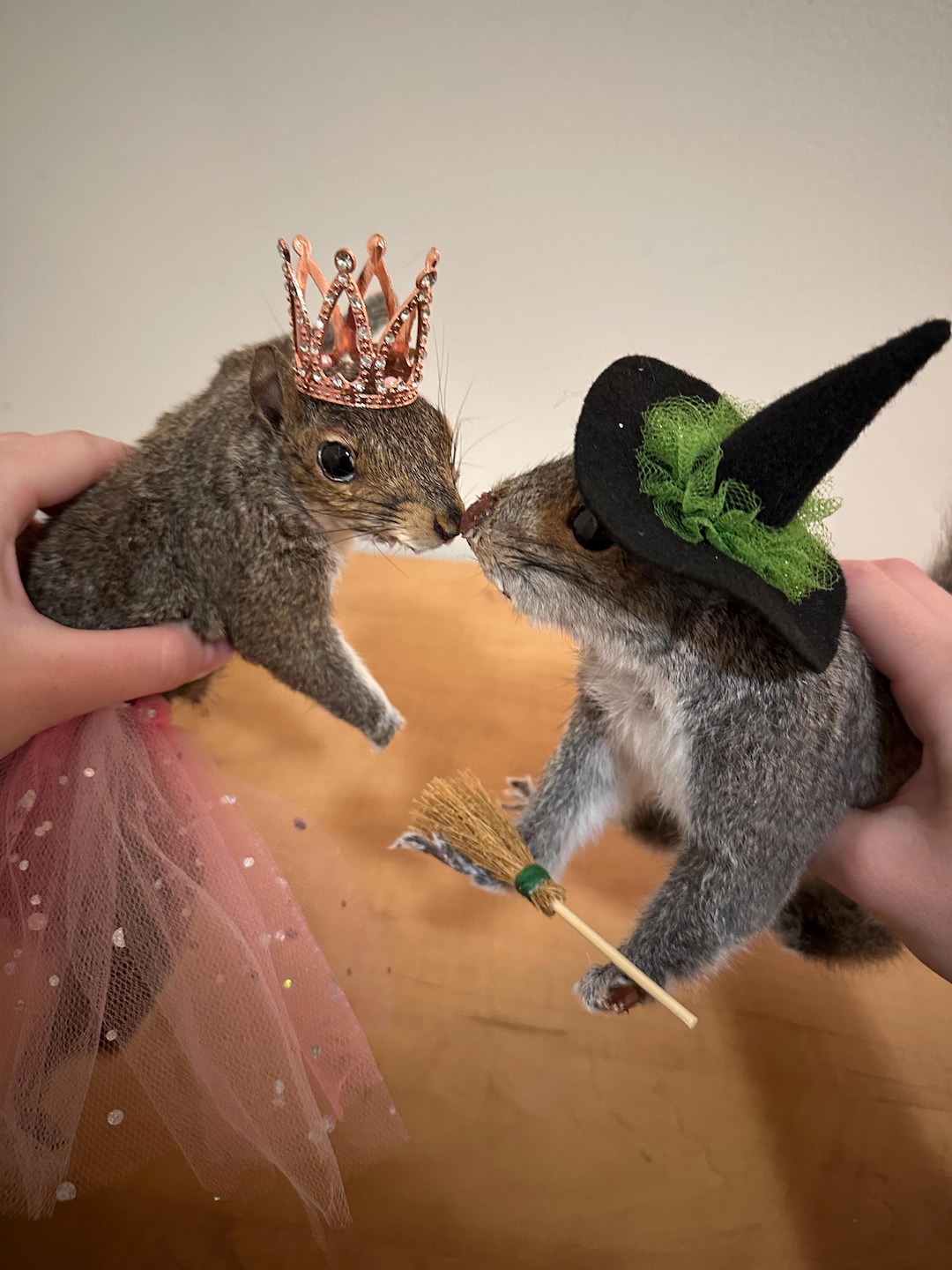 Elphaba and Glinda Taxidermy Squirrels - Etsy UK