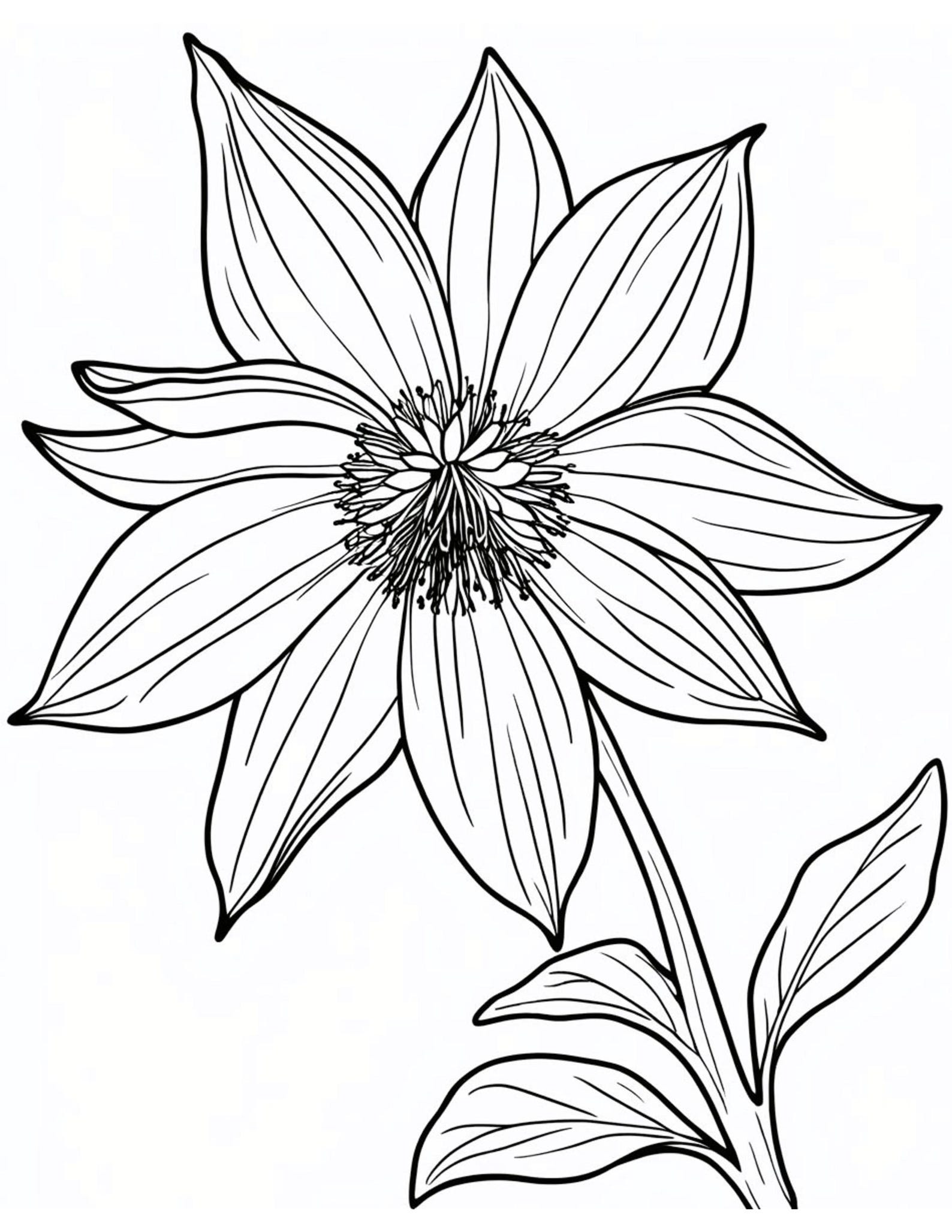 Spring Flowers Coloring Pages | Variety Two | Set of 5 - Etsy