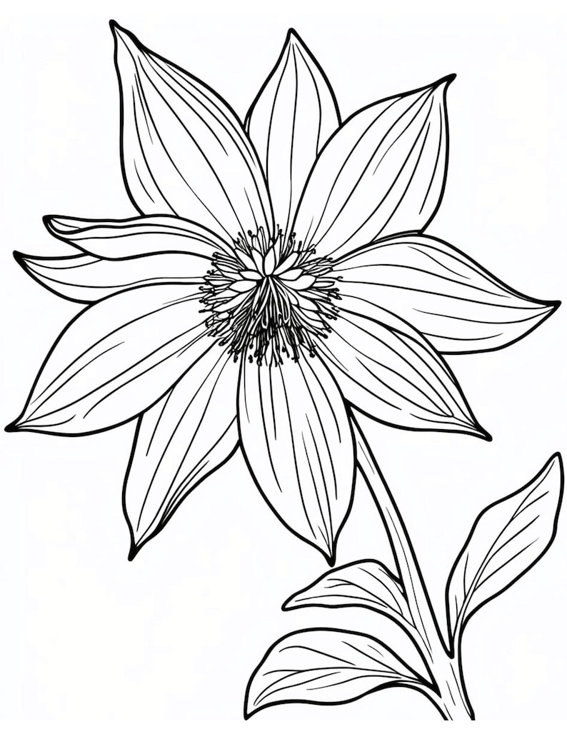 Spring Flowers Coloring Pages | Variety Two | Set of 5 - Etsy
