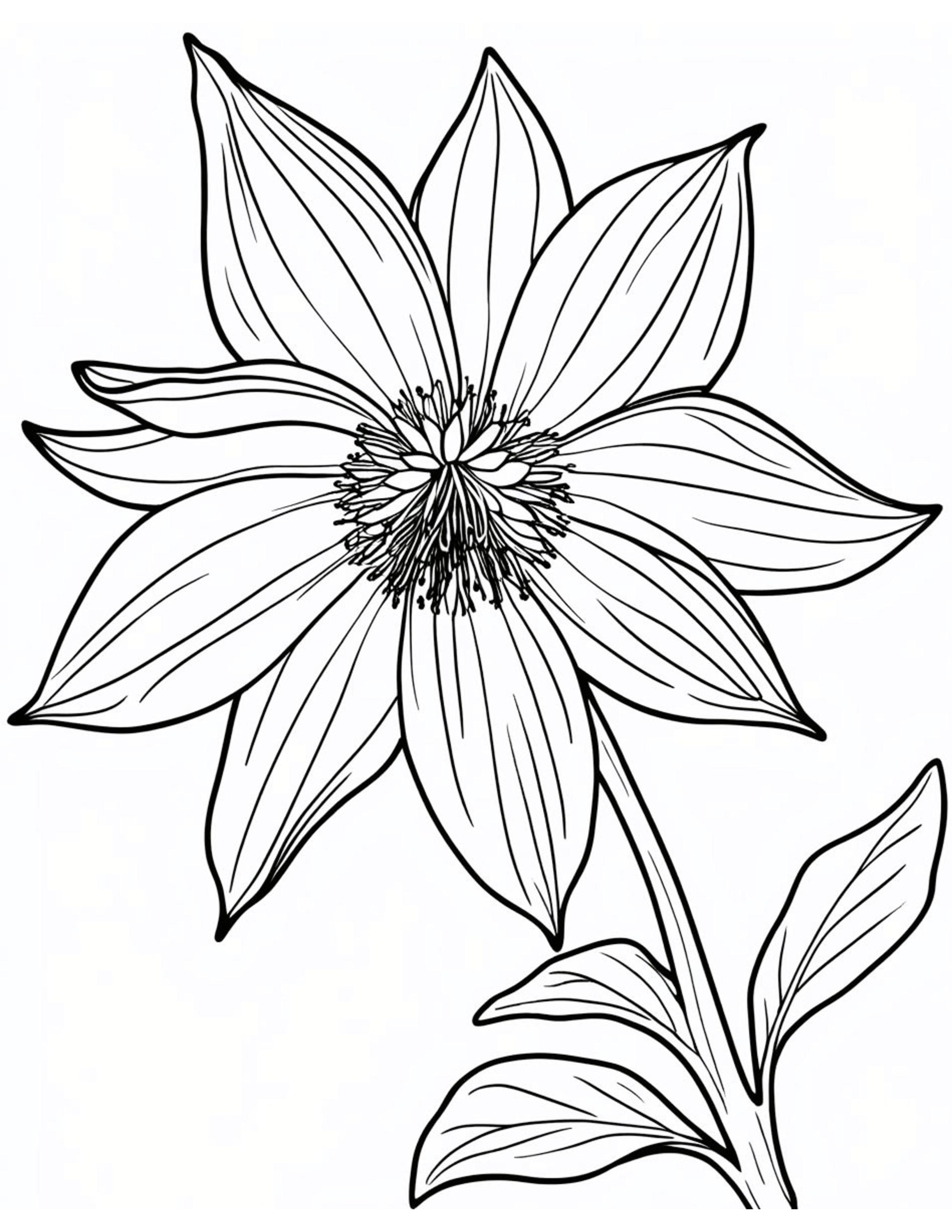 Spring Flowers Coloring Pages | Variety Two | Set of 5 - Etsy