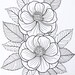 Spring Flowers Coloring Pages | Variety Two | Set of 5 - Etsy