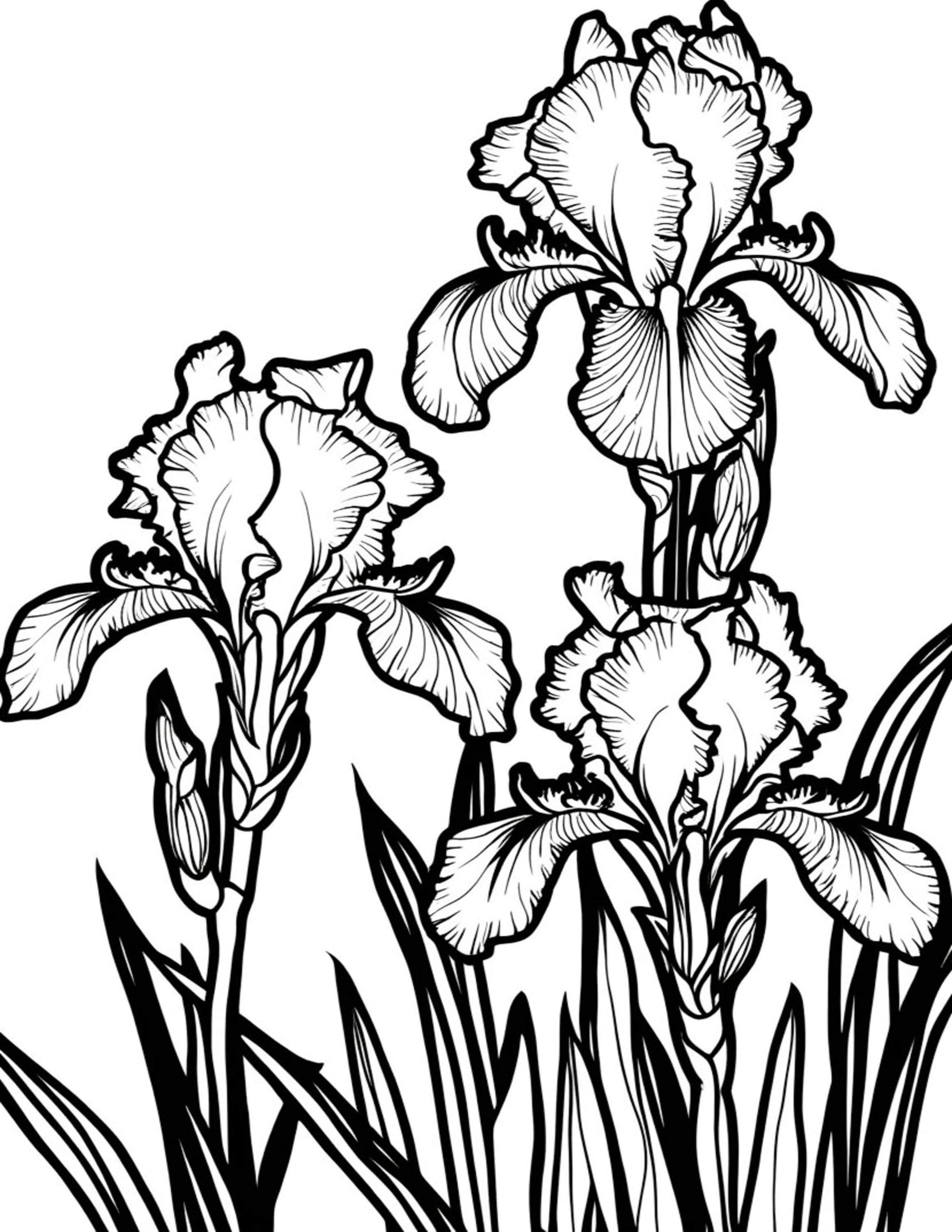 Spring Flowers Coloring Pages | Variety Two | Set of 5 - Etsy